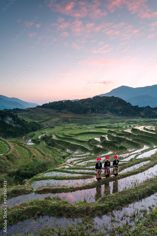 Women wearing traditional clothes from Red Dao tribe at the rice field ...