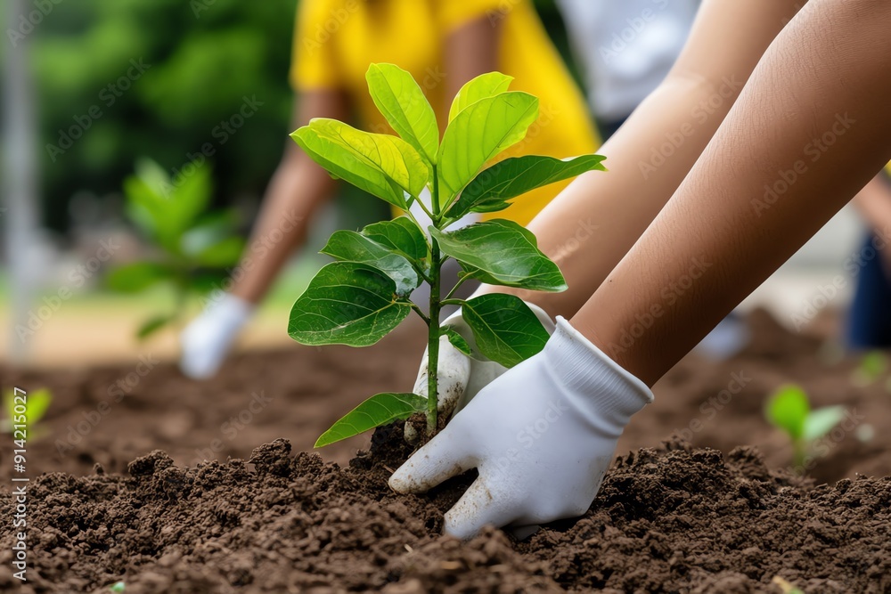 A community planting trees in an urban area to combat PM2.5 pollution ...