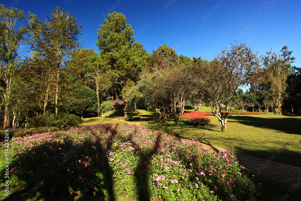 The integrity of the forest and nature of Huai Pang tong Reservoir at ...