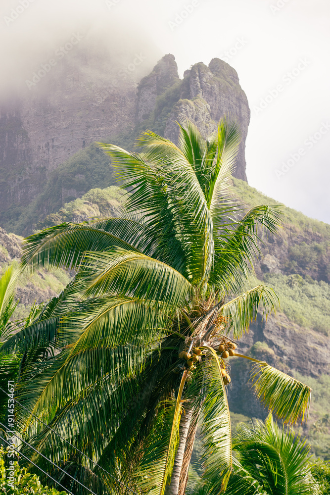 Palm tree fronds blow in the wind at the base of Mount Otemanu on the ...