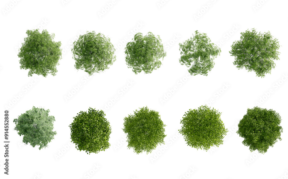 Poster tree top view plant landscape architecture nature garden aerial ...