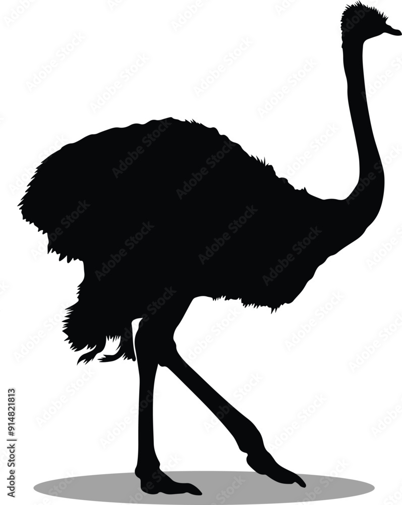 Emus Silhouette, Emus Vector Silhouette, Emus cartoon Silhouette, Emus ...