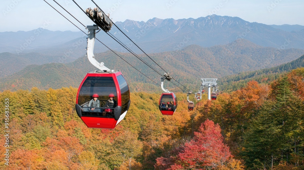 Experience breathtaking autumn foliage while riding the cable car in ...
