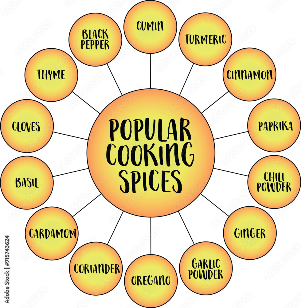 Poster popular cooking spices around the world, vector diagram ...