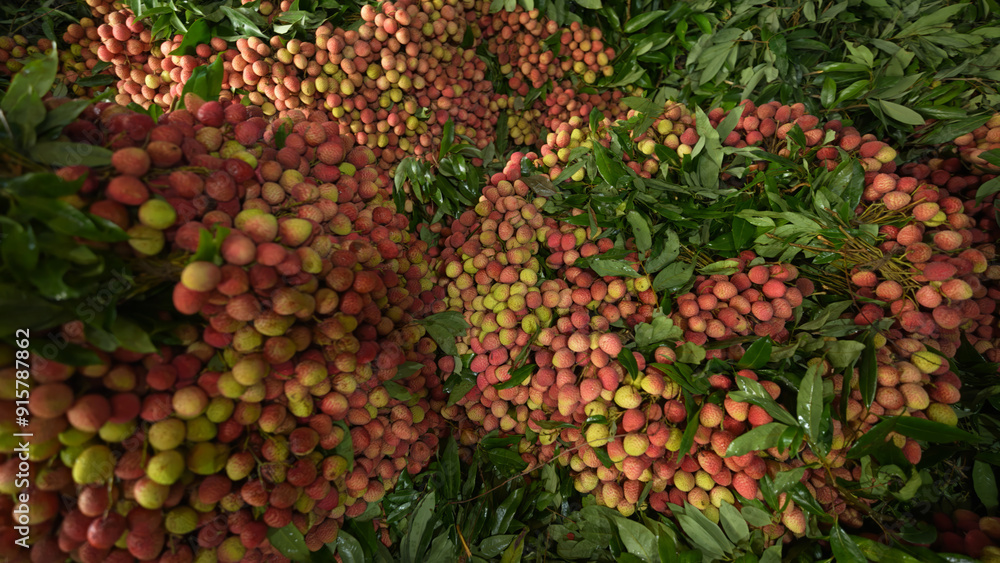 Freshly picked ripe lychees, ready for sale at the market. Vibrant ...