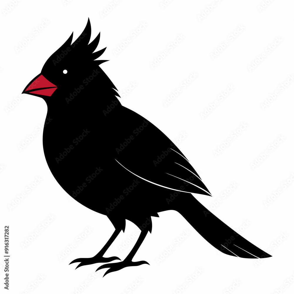 Cardinal head isolated on white background, Cardinal vector ...