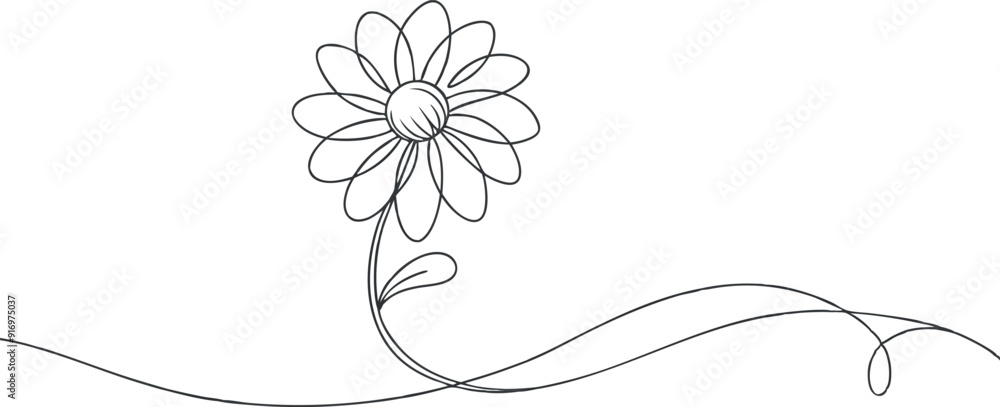 continuous single line drawing of daisy flower, line art vector ...