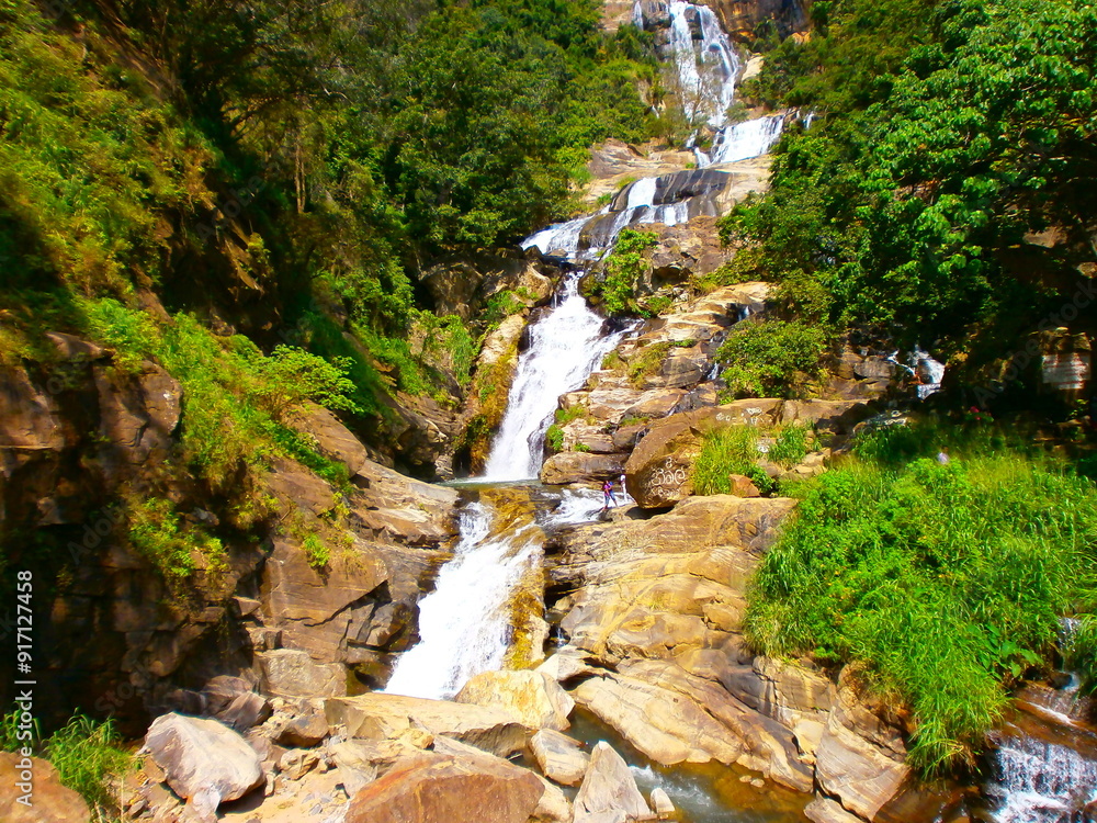 Capture the beauty of the natural world with stunning natural ...