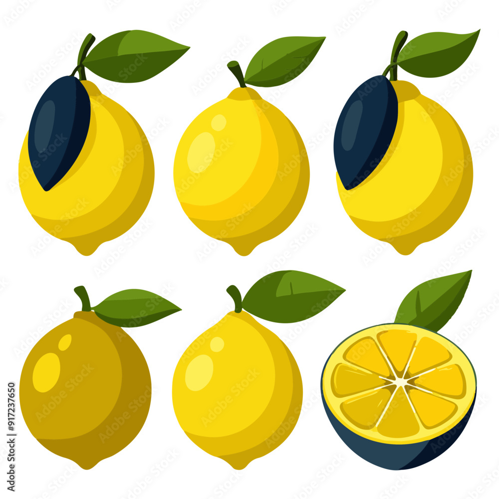 Vector illustrations of fresh lemon fruits and leaves, lemon slices ...