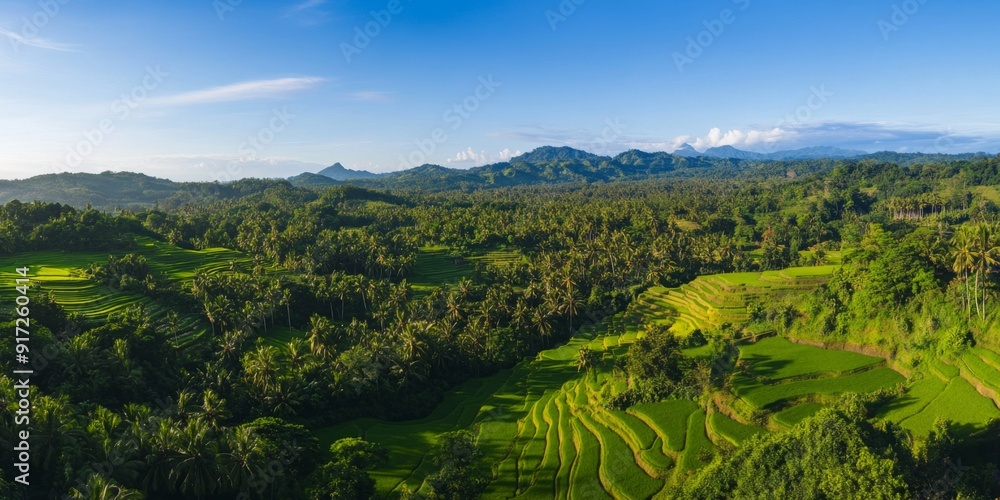 Lush Green Lombok: Pristine Tropical Forests and Terraced Rice Fields ...