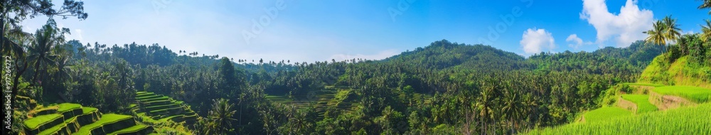 Lush Green Lombok: Pristine Tropical Forests and Terraced Rice Fields ...
