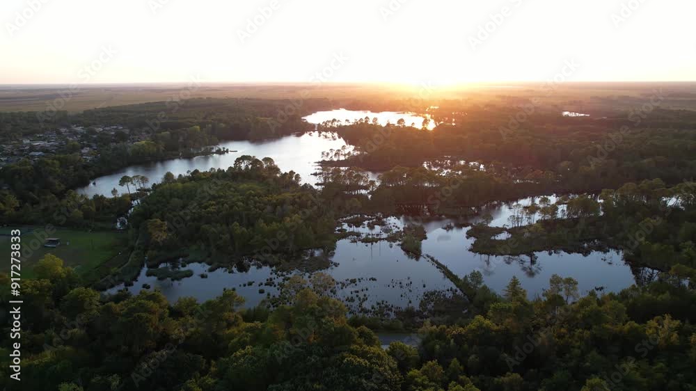 France, Gironde, Haute-Lande Girondine, Hostens, lagoon lined with ...