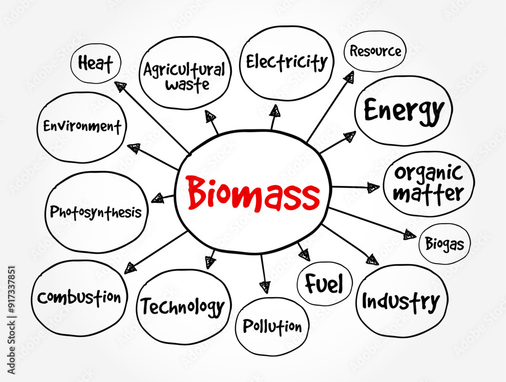 Biomass - matter from recently living organisms which is used for ...