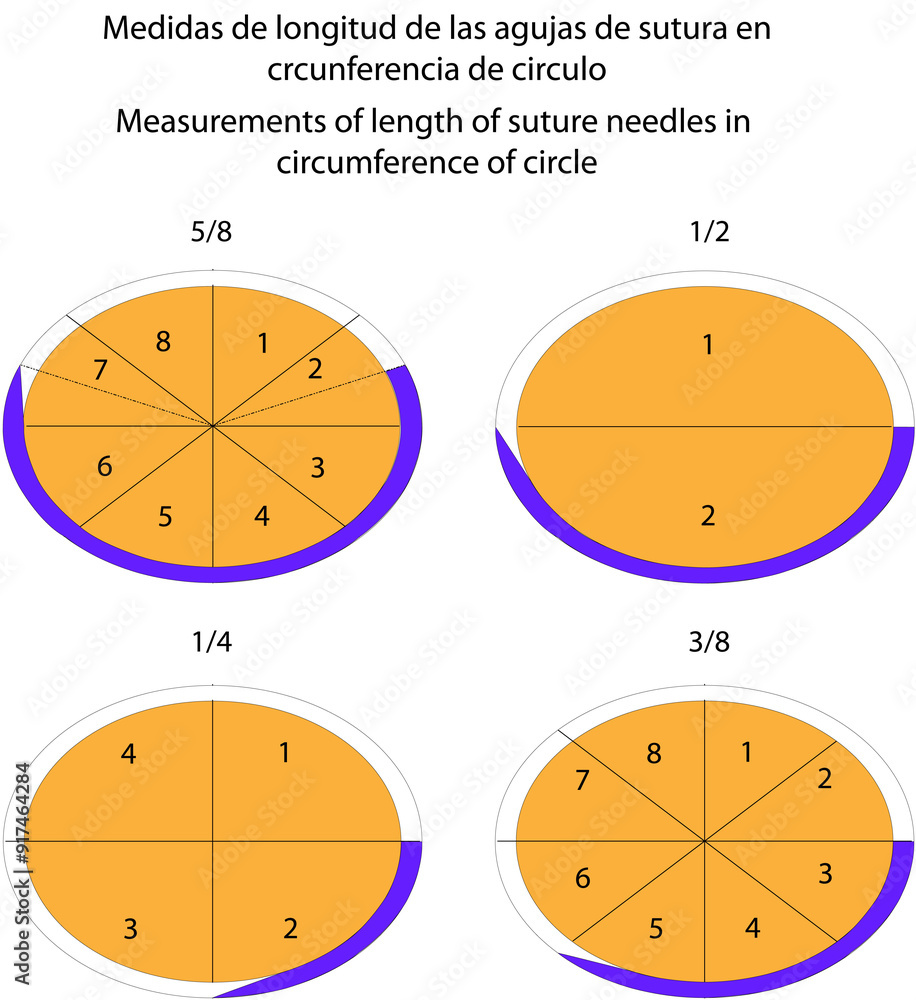 Medidas de longitud de las agujas de sutura en circunferencia de ...