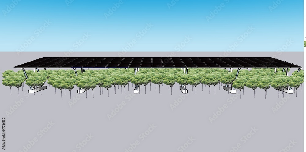 Agri-PV: Agricultural photovoltaic, dual-use, farming integration ...