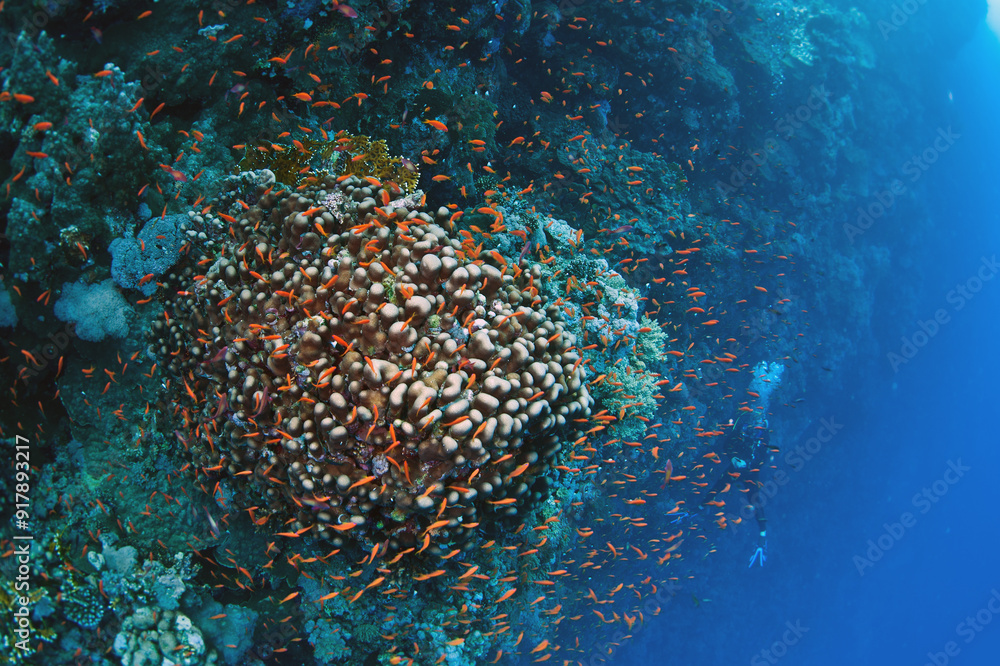 However, these monuments to the bloody pages in human history are ...