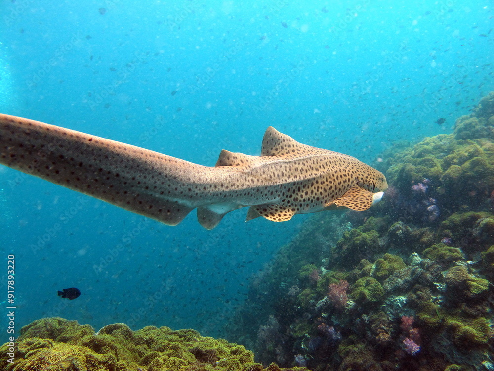 However, these monuments to the bloody pages in human history are ...