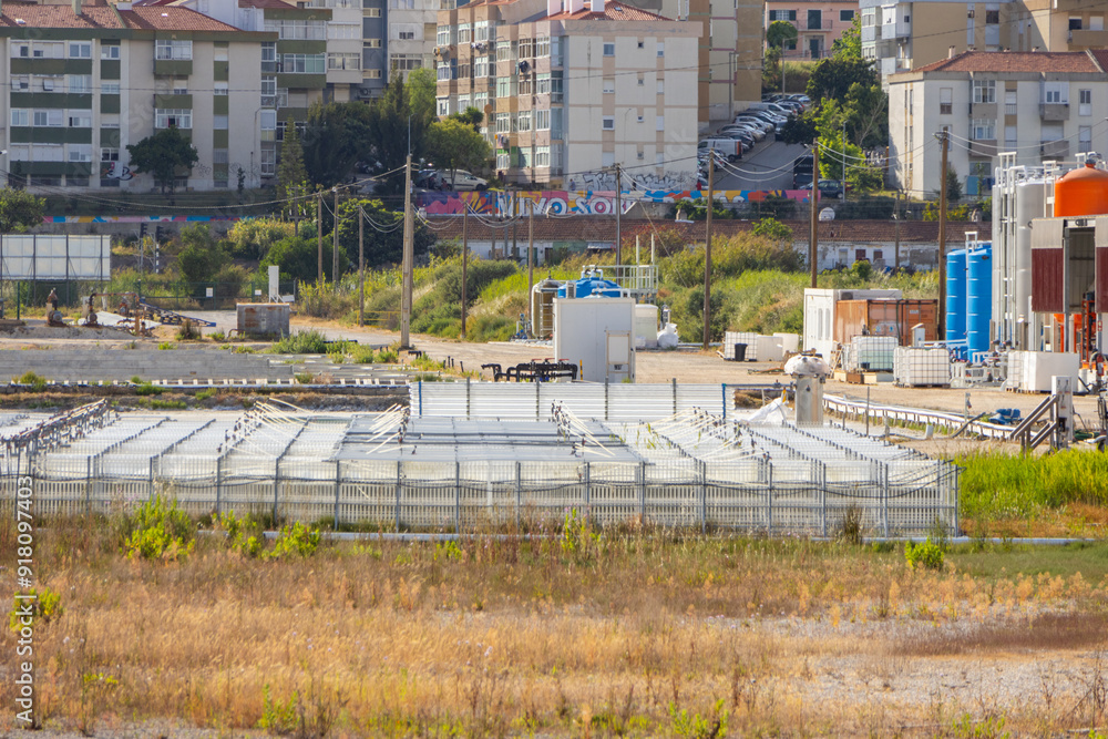Algae farm using photobioreactors for microalgae production in an eco ...