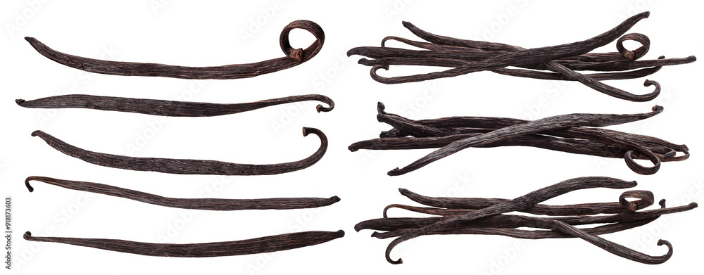 Vanilla bean isolated on white background, clipping path, full depth of ...