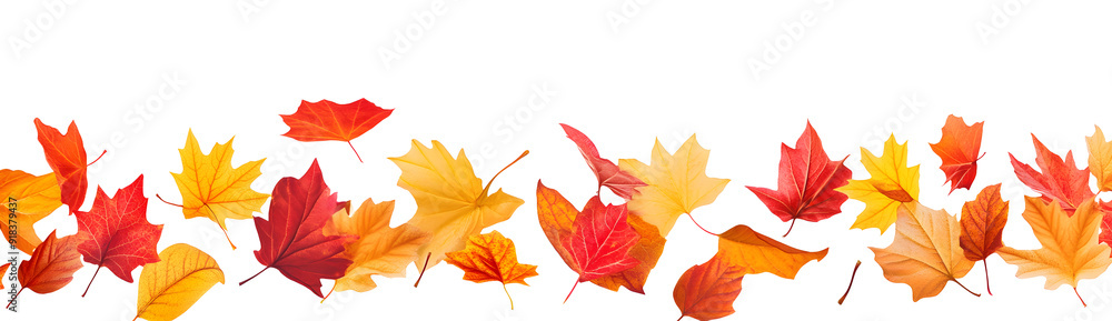 Autumn seamless transparent background with long horizontal border made ...