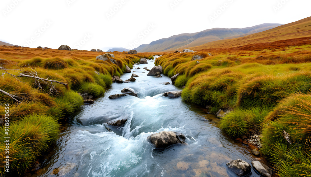 Shallow, fast flowing narrow stream of water with rocks and green grass ...