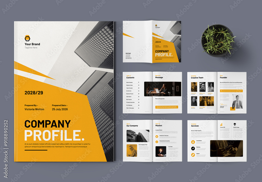 Company Profile Template Stock Template | Adobe Stock