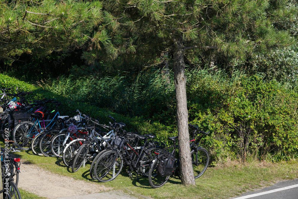 A row of bicycles neatly parked at a designated bike parking area ...