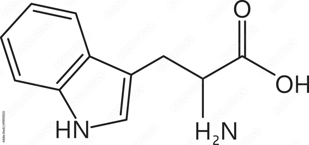 Tryptophan amino acid chemical molecule, essential chain structure ...