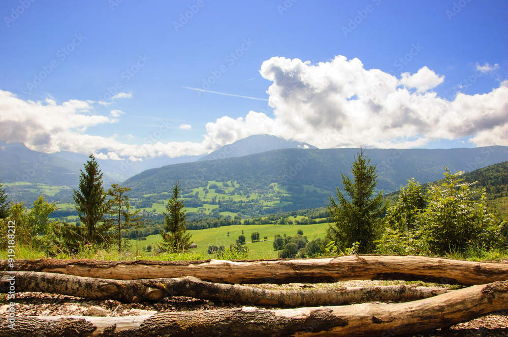 Scenic alpine view with fresh cut pine logs at foreground. Annecy lake ...