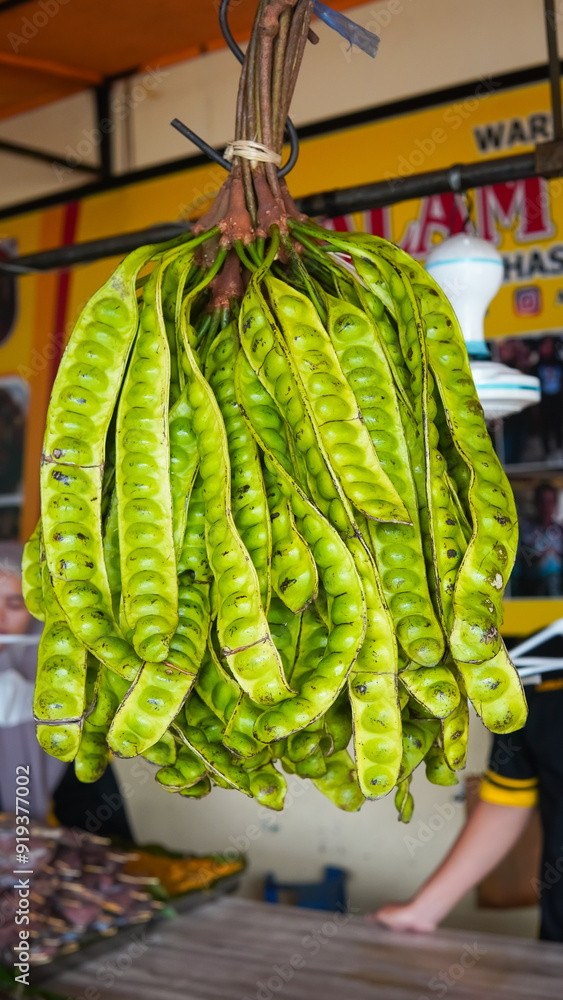 Raw of petai or pete (Parkia speciosa). Usually eaten raw and cooked ...