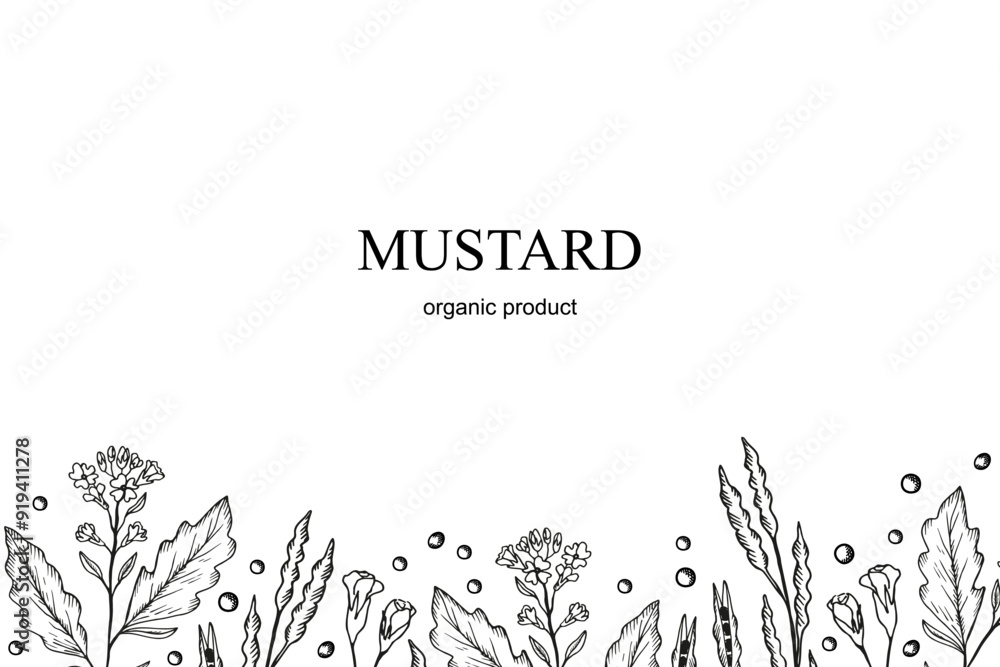 Mustard plant engraved banner, hand drawn vector illustration ...