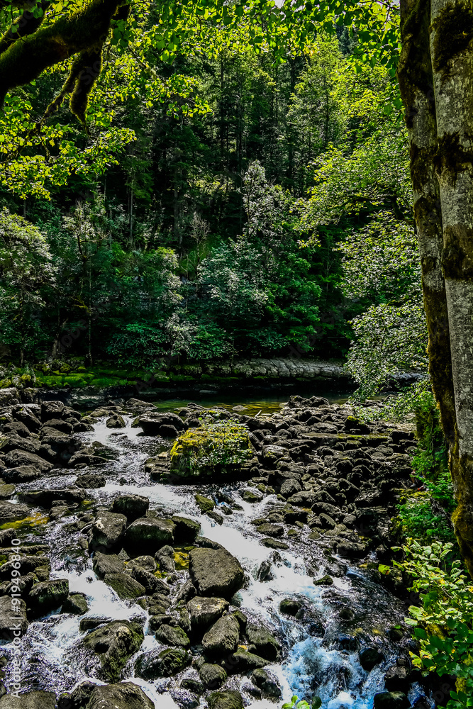 Les Brenets, le lac des Brenets, Felsen, Felswände, Doubs, Fluss, Le ...
