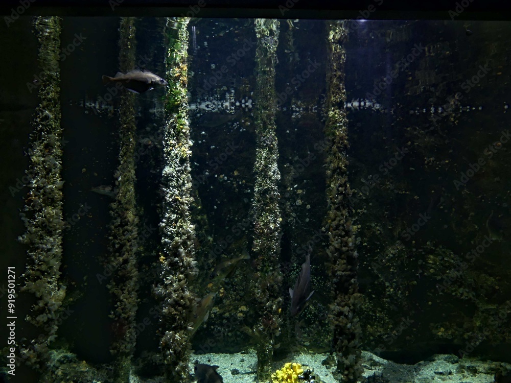 La Rochelle, August 2024: Visit to one of Europe's largest aquariums ...