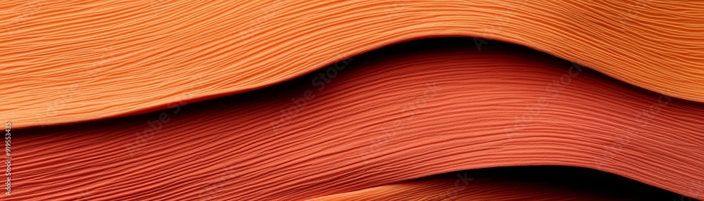 Detailed view of the smooth muscle fibers in the dermis, focusing on ...