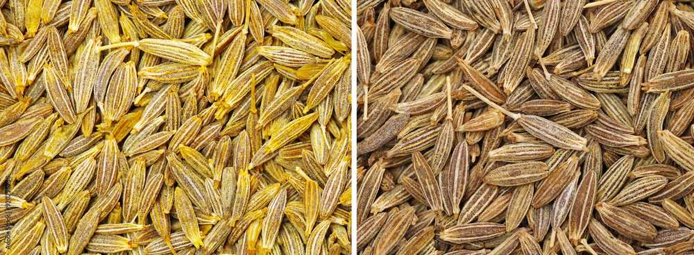 Cumin seeds texture, full frame background. Second most popular spice ...
