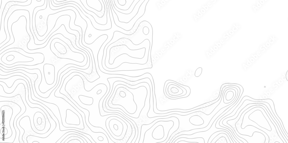 Vector black wave curve Topography grid map. white wave line geography ...