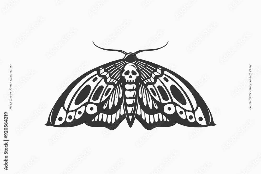 Black and white illustration of a moth with a skull motif on its body ...