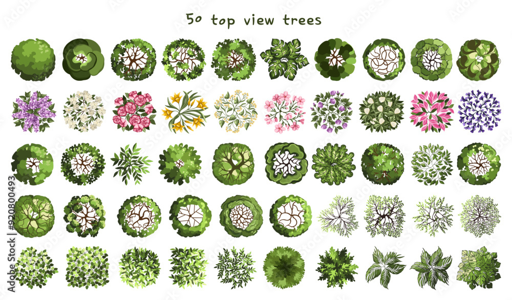 Trees for architectural floor plans. Entourage design. Various trees ...