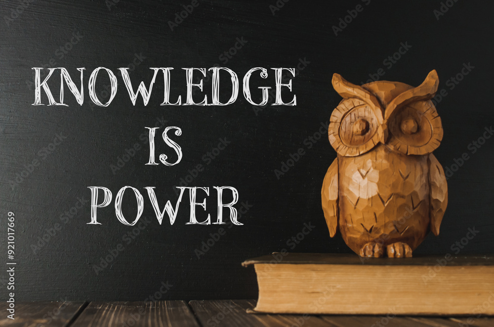 Knowledge is power. The owl is a symbol of wisdom and intelligence ...
