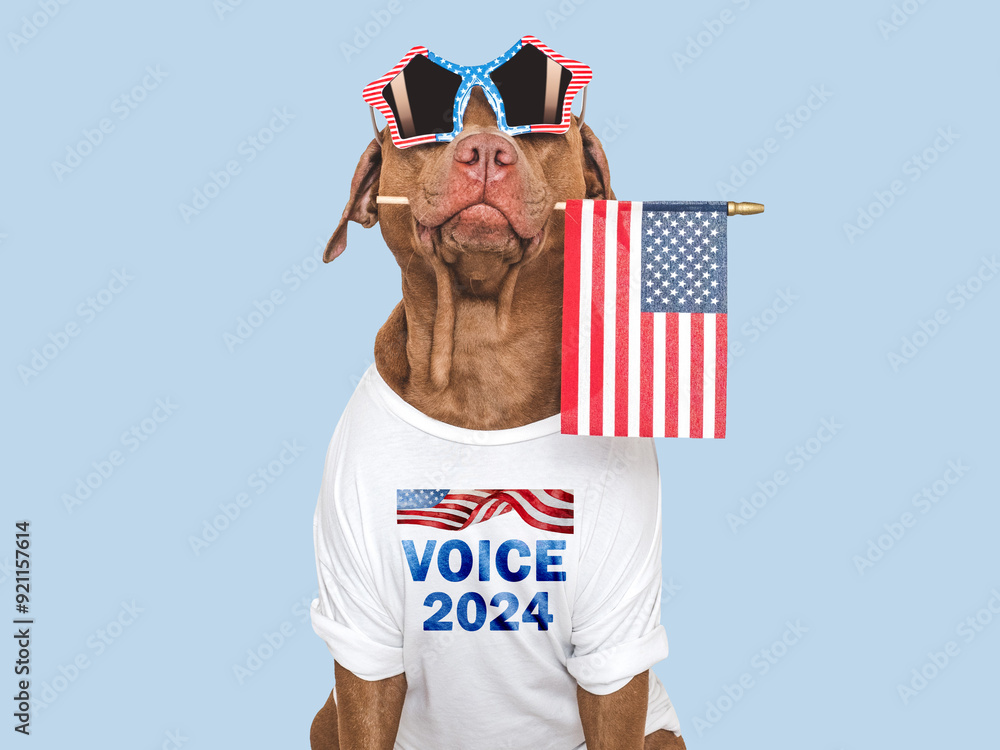 US Elections. Presidential Election 2024. Adorable dog and American ...