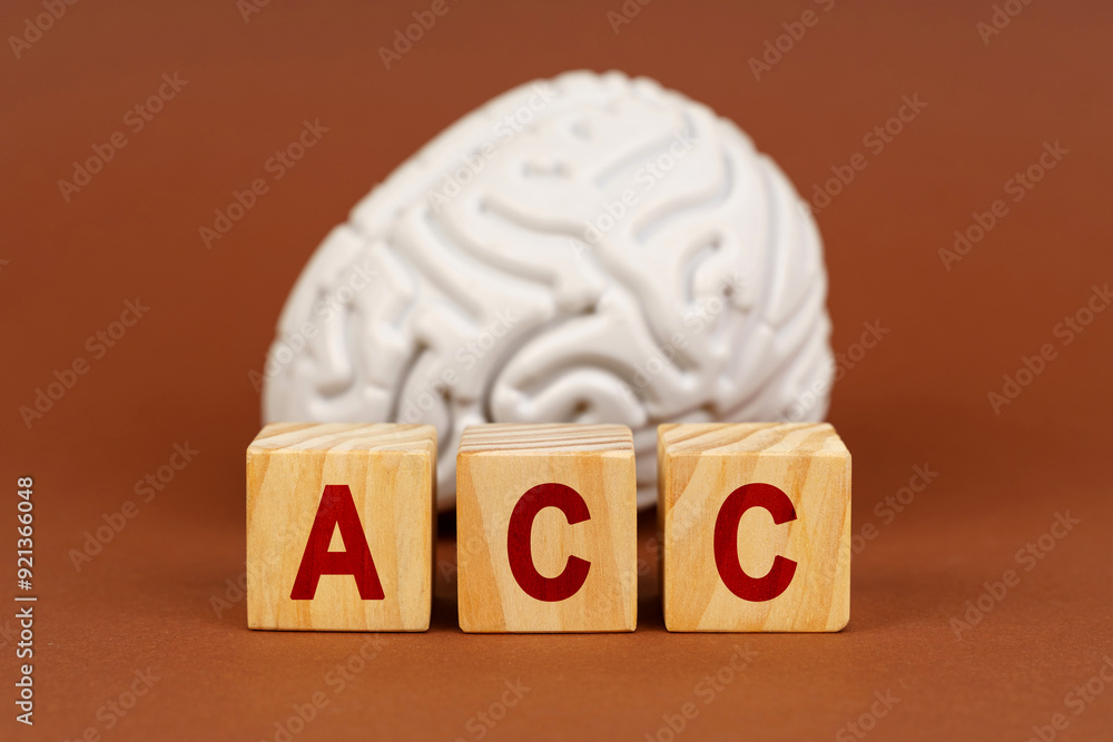 Exploring The Anterior Cingulate Cortex Through Creativity And Cognition With Wooden Blocks In