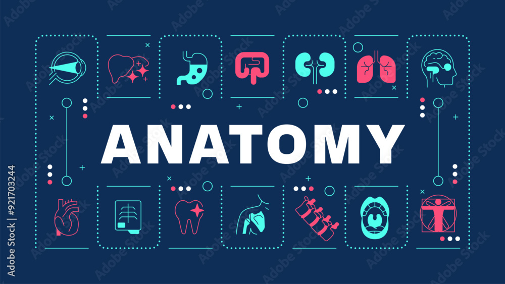 Anatomy dark blue word concept. Academic discipline. Medical education ...