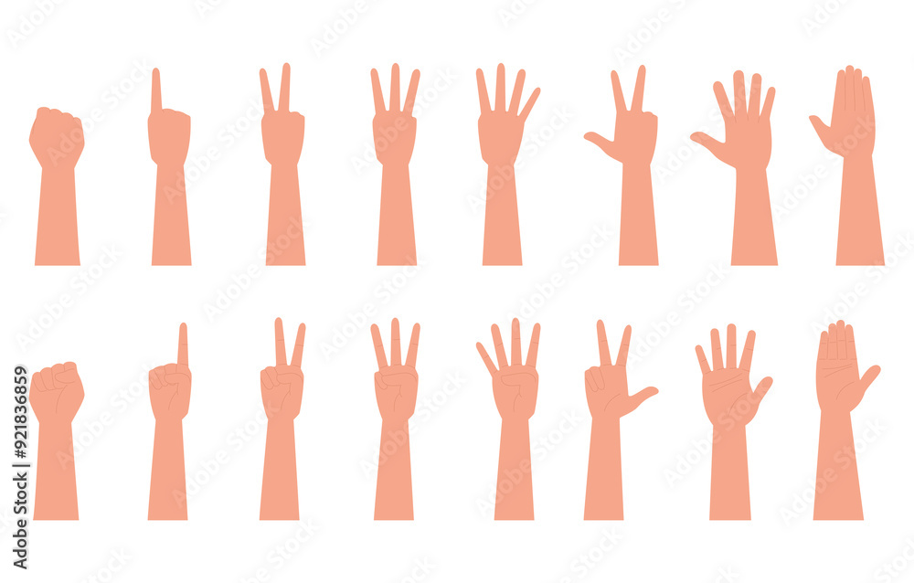Hands poses. SET of hand gestures isolated over the white background ...
