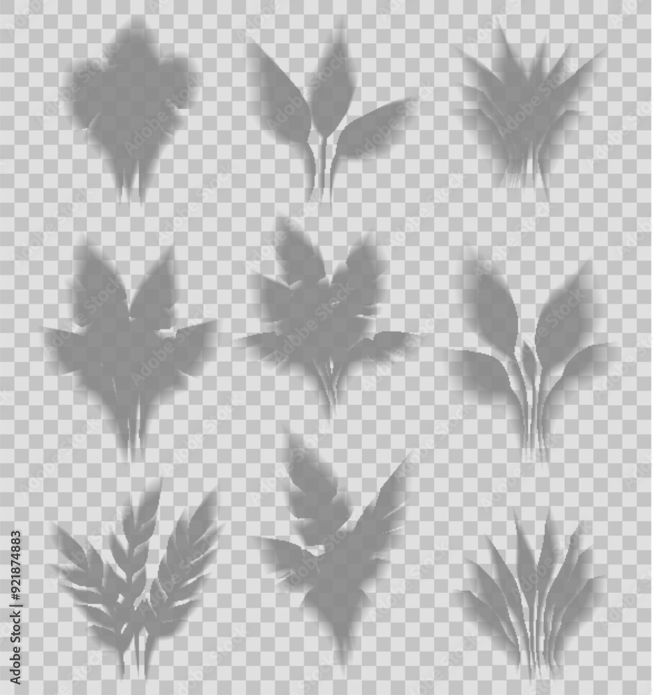 Vector set of transparent shadows of tropical bushes of leaves on ...