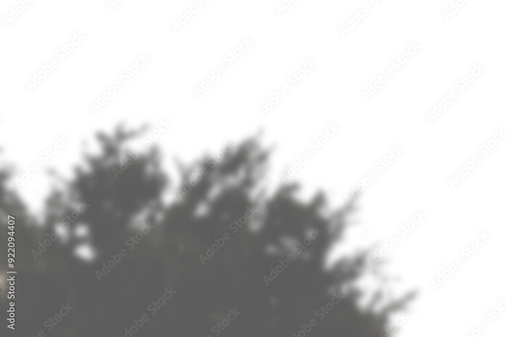 Natural shadow overlay effect on transparent background, isolated ...