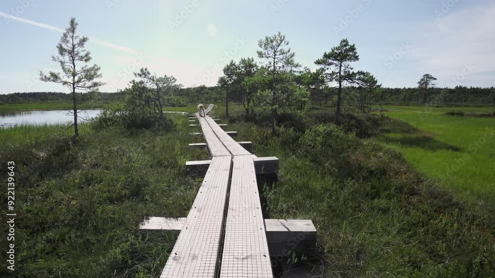 Estonian bogs are difficult places to walk, that's why they build ...