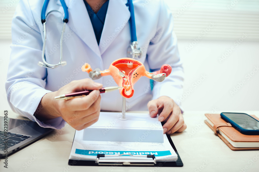 The womb, or uterus, is a female reproductive organ where a fertilized ...