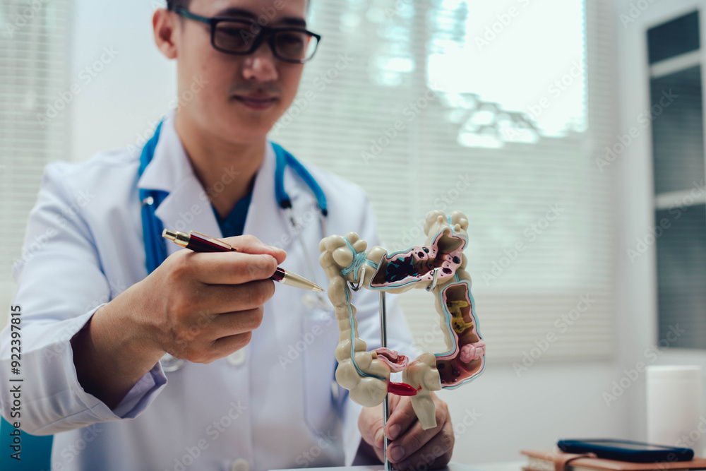 The intestine, comprising the small and large intestines, is a long ...