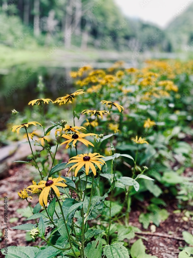 Notch Lake. Stunning shallow lake in the Catskill Mountain region. At ...