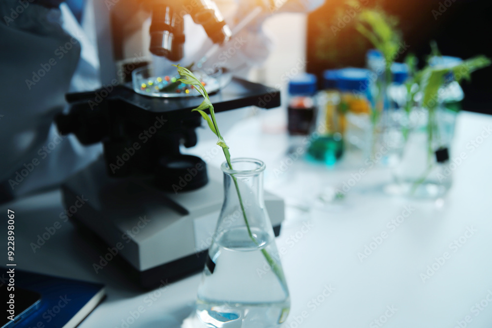 Scientist cutting plant tissue culture in petri dish, performing ...